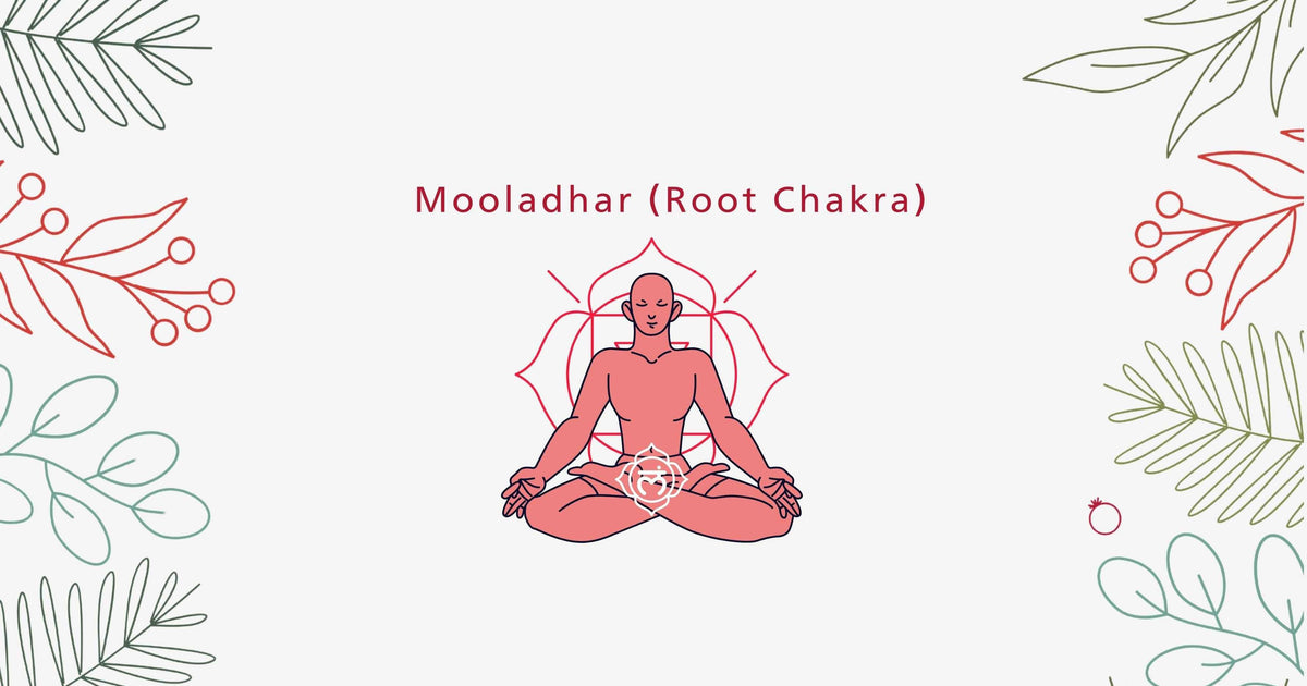 Mooladhar (Root Chakra) | Herbs for chakras | MOKSHA BOTANICALS